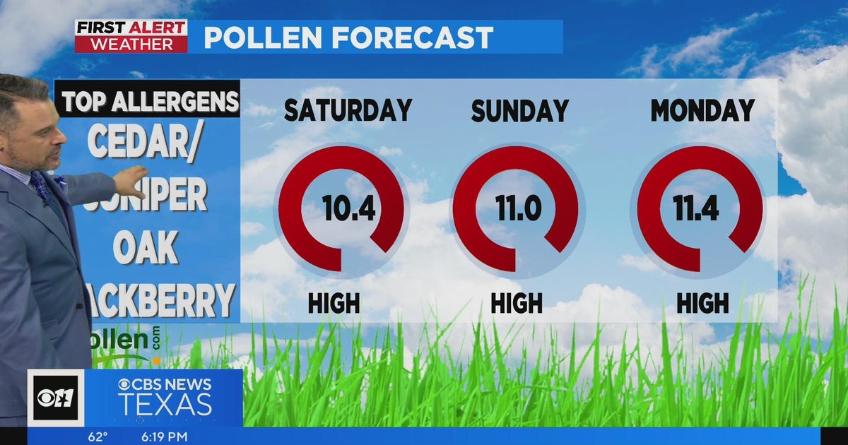 Weekend weather might be nice, but pollen counts will be high - CBS Texas
