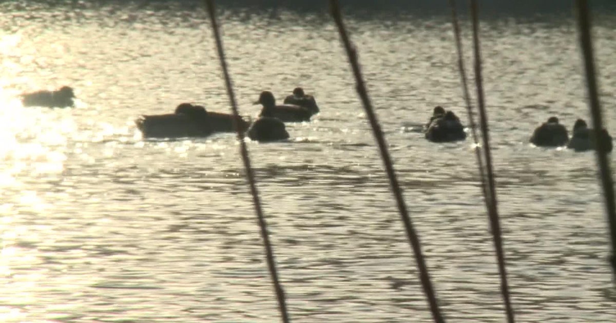 EXTENDED: Students help lead call for answers in Khalil Azad’s death ...