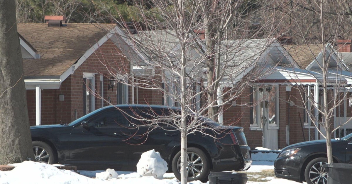 Madison Heights street tree planting program aims to reduce power ...
