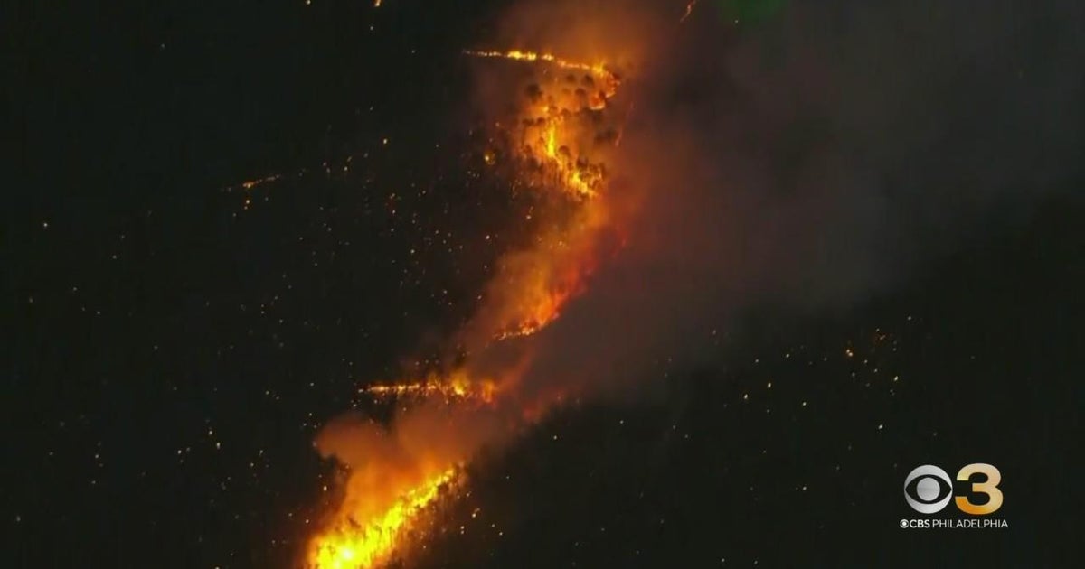 Forest fire in South Jersey fully contained - CBS Philadelphia