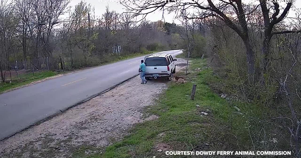 DPD, PETA looking to identify man seen on video dumping dog on Dowdy ...