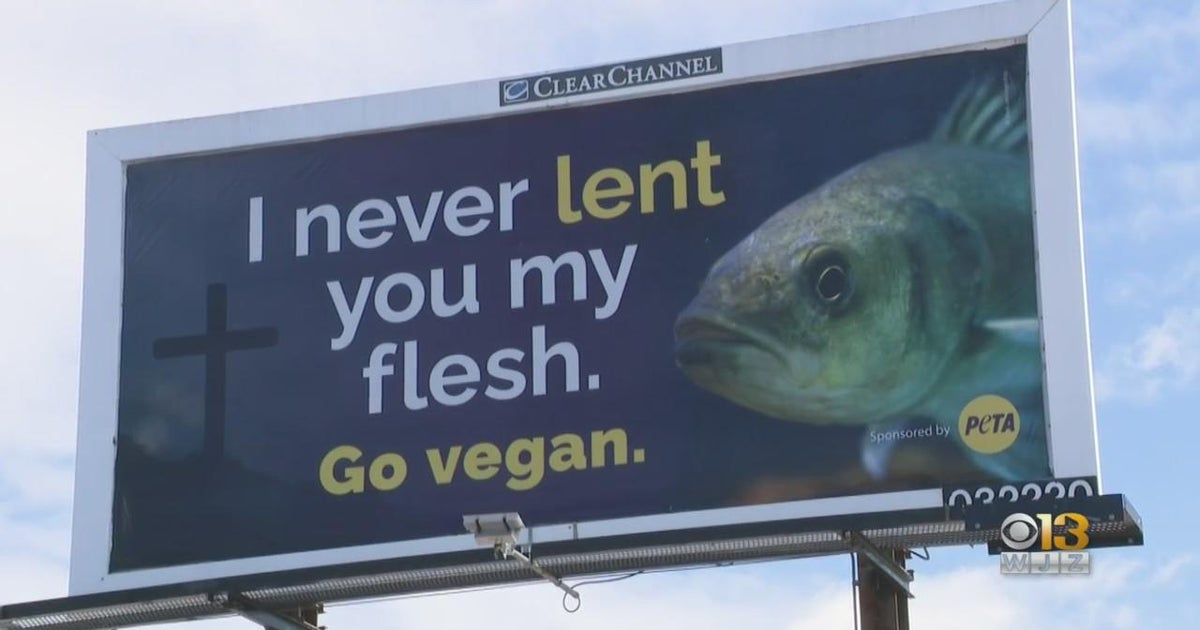 Billboard Wars: PETA, Jimmy's Famous Seafood exchange barbs on ...