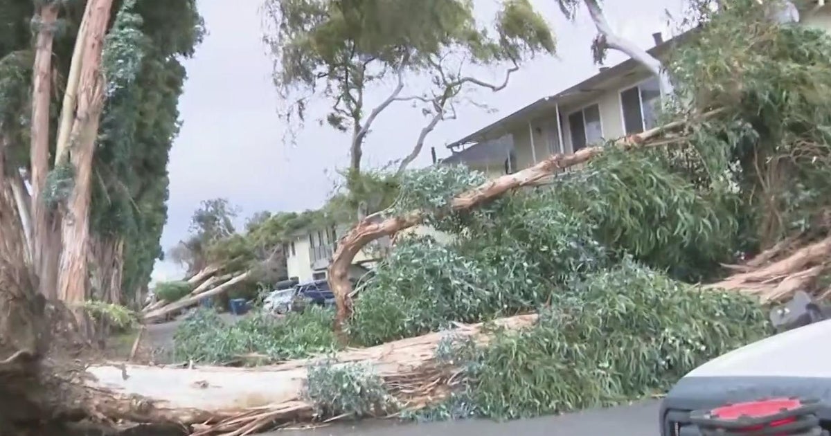 Trees topple onto Union City condo complex; Residents evacuated - CBS ...