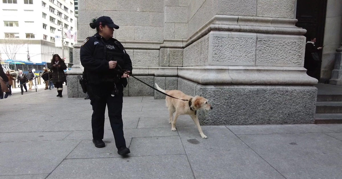 NYPD detective following in her father's footsteps alongside K-9 named ...