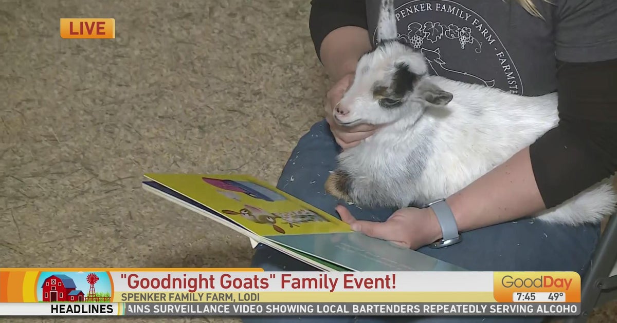 "Goodnight Goats" - Good Day Sacramento