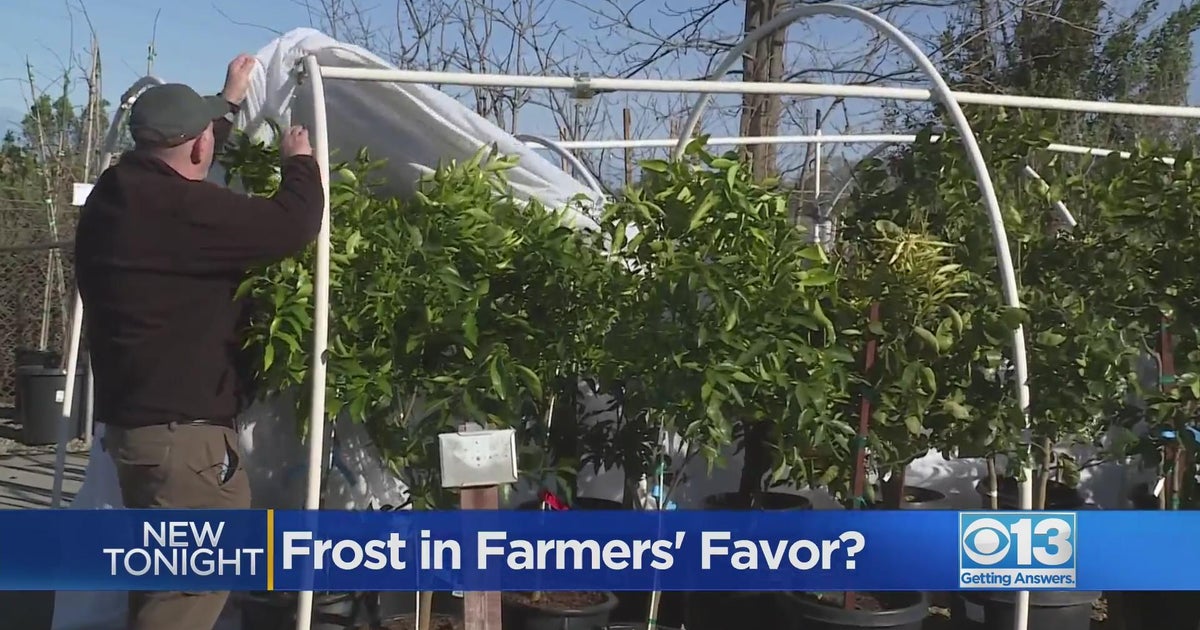Weekend frost advisories a threat to valley growers, farmers; impact ...