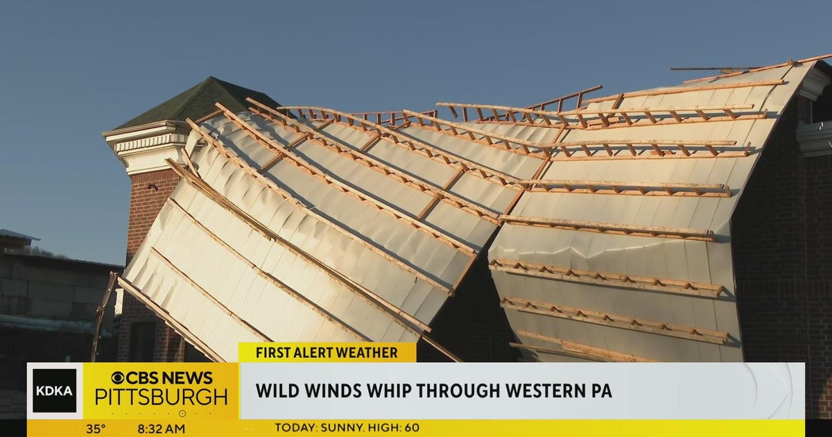 Wicked winds whip through the region - CBS Pittsburgh