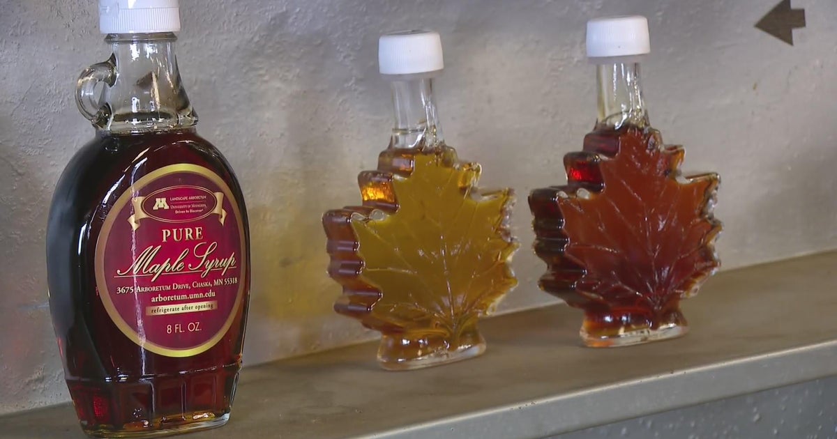 Minnesota Landscape Arboretum's MapleFest celebrates tree sap's ...