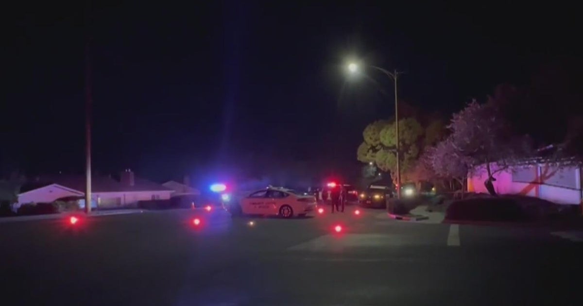 Woman killed in South San Jose hit-and-run identified - CBS San Francisco