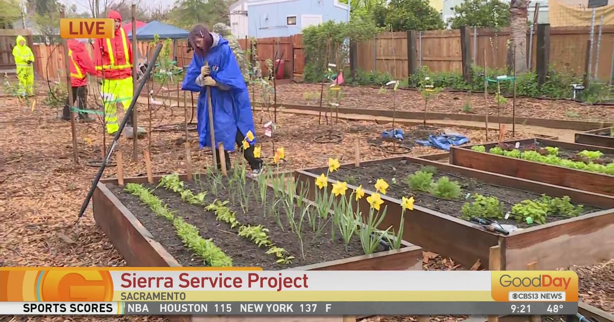 Sierra Service Project - Good Day Sacramento