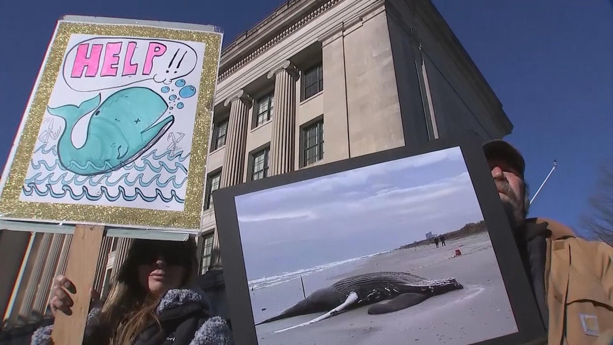 Dozens protest against offshore wind farm along Jersey Shore - CBS ...