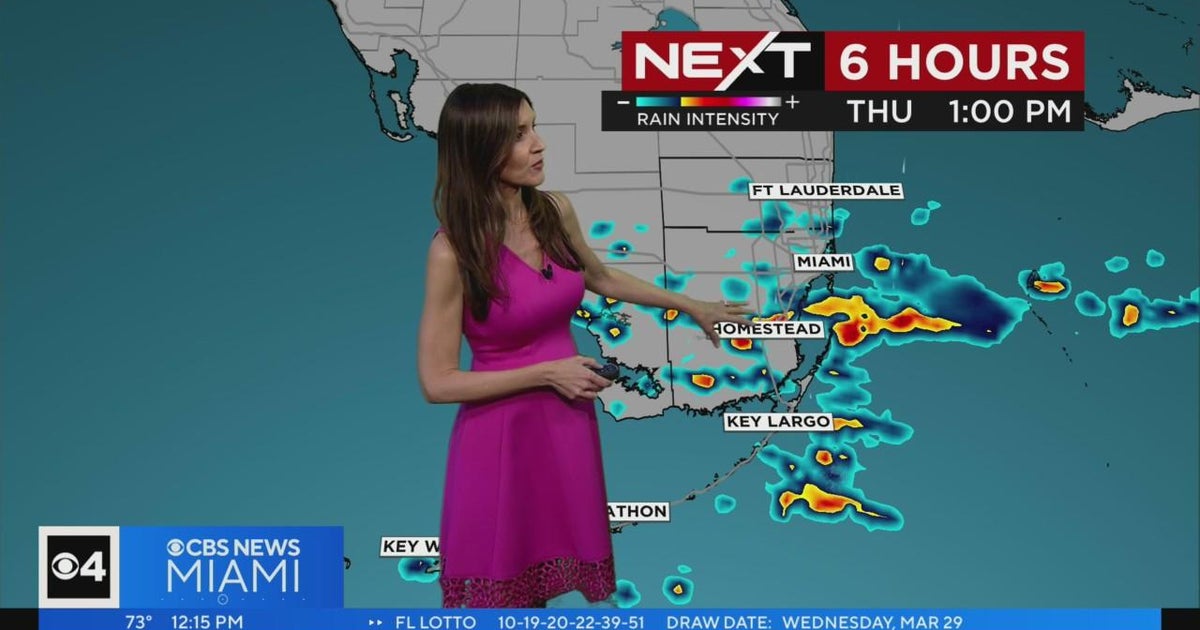 NEXT Weather forecast for Thursday 3/30/2023 12PM - CBS Miami