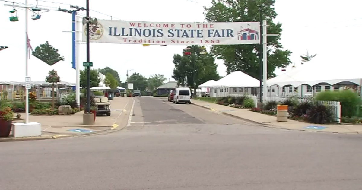 Illinois State Fair announces 2023 concert lineup - CBS Chicago