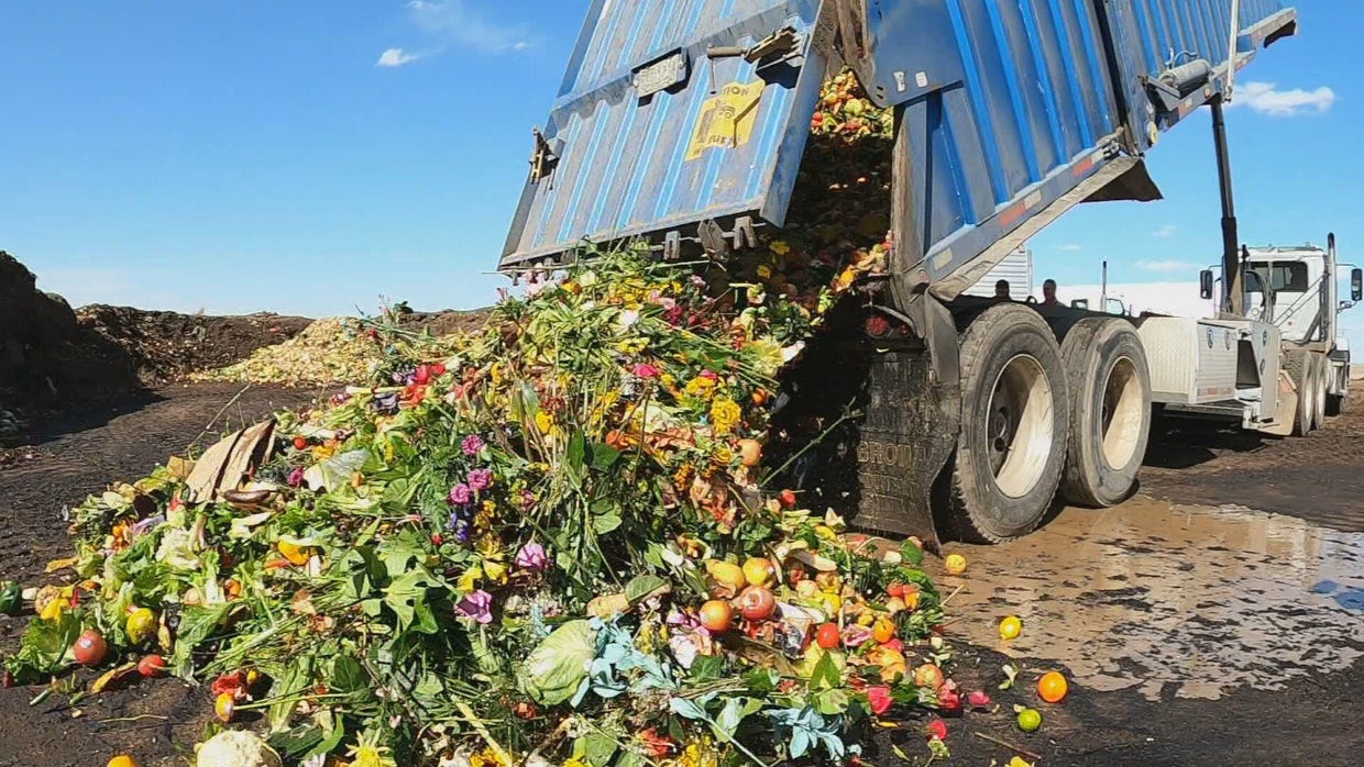 Many in the Denver Metro have new composting guidelines - CBS Colorado