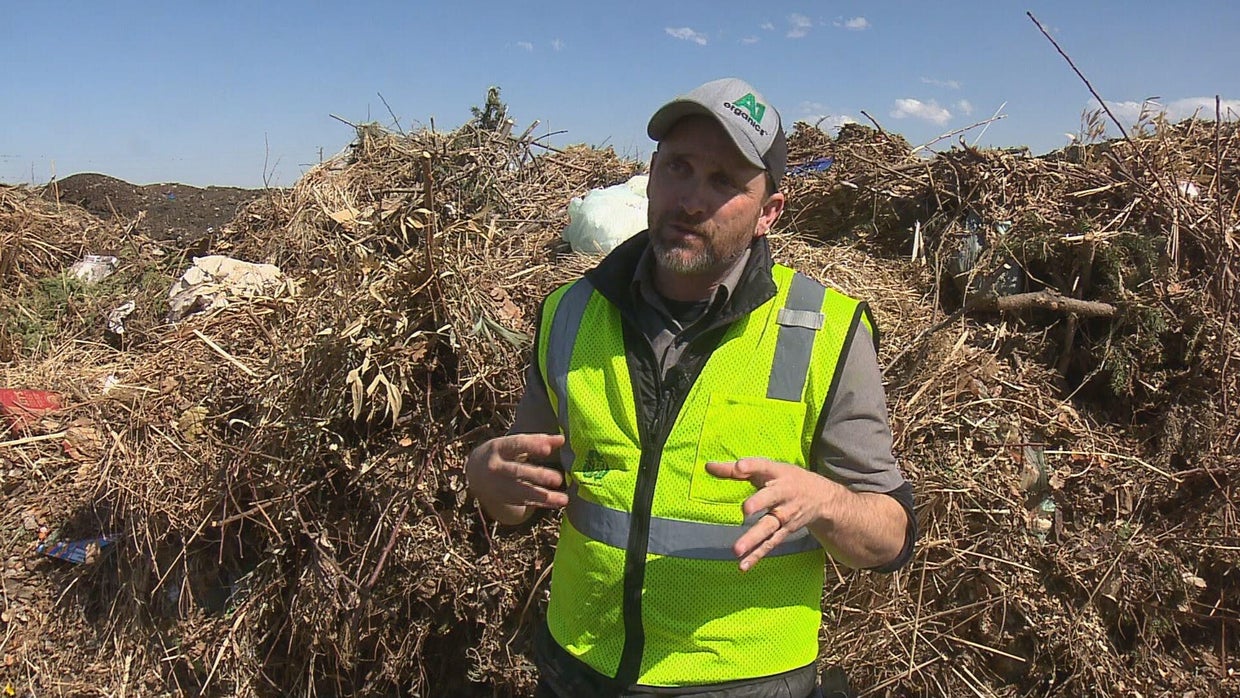 Many in the Denver Metro have new composting guidelines - CBS Colorado