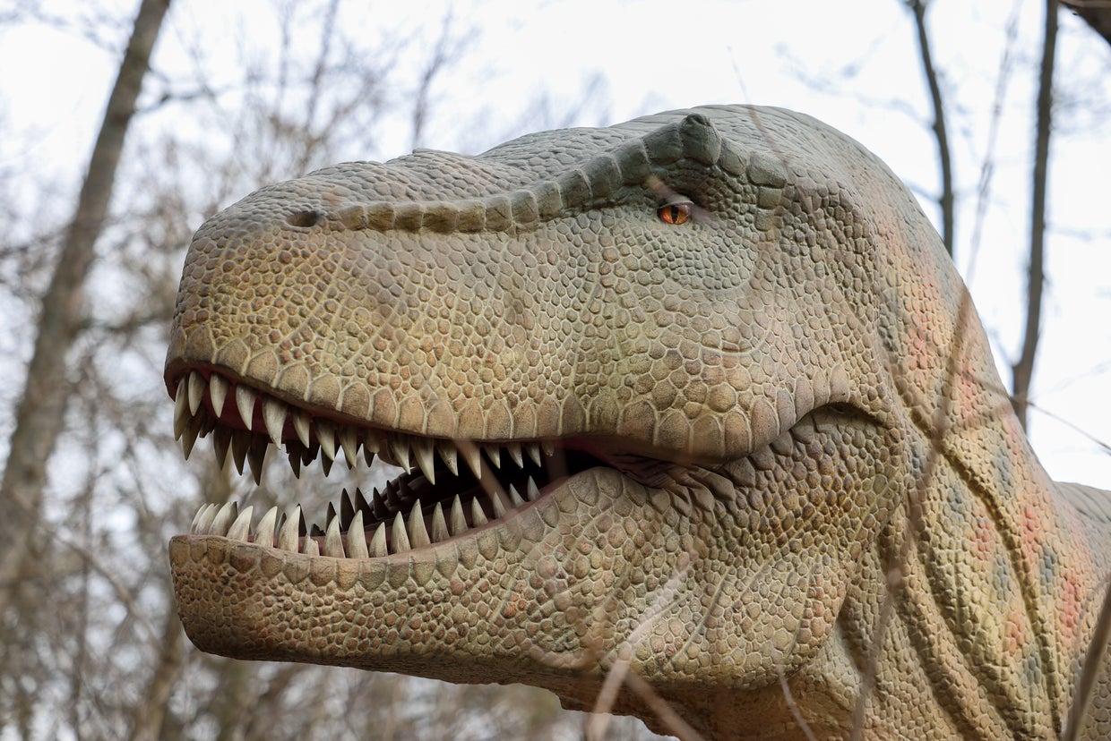 T. rex's ferocious image may have just taken a hit - CBS News