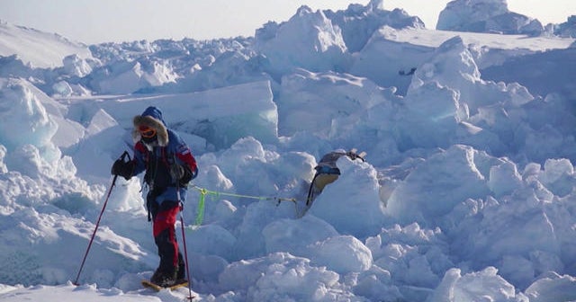 The Uplift: A polar explorer and a lucky dog - CBS News