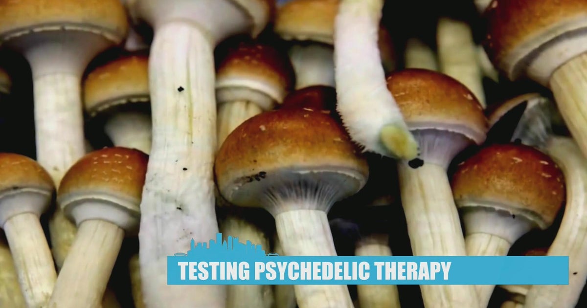 Development and testing of psychedelic drugs to treat mental illness ...