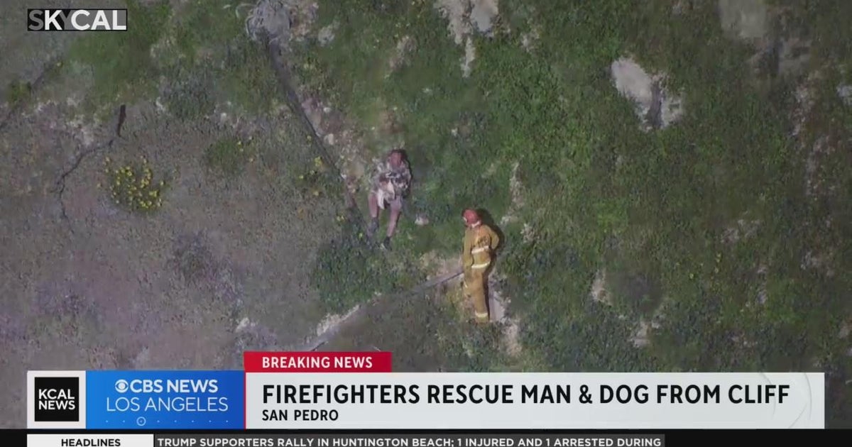 Man rescued from San Pedro cliff trying to rescue dog - CBS Los Angeles