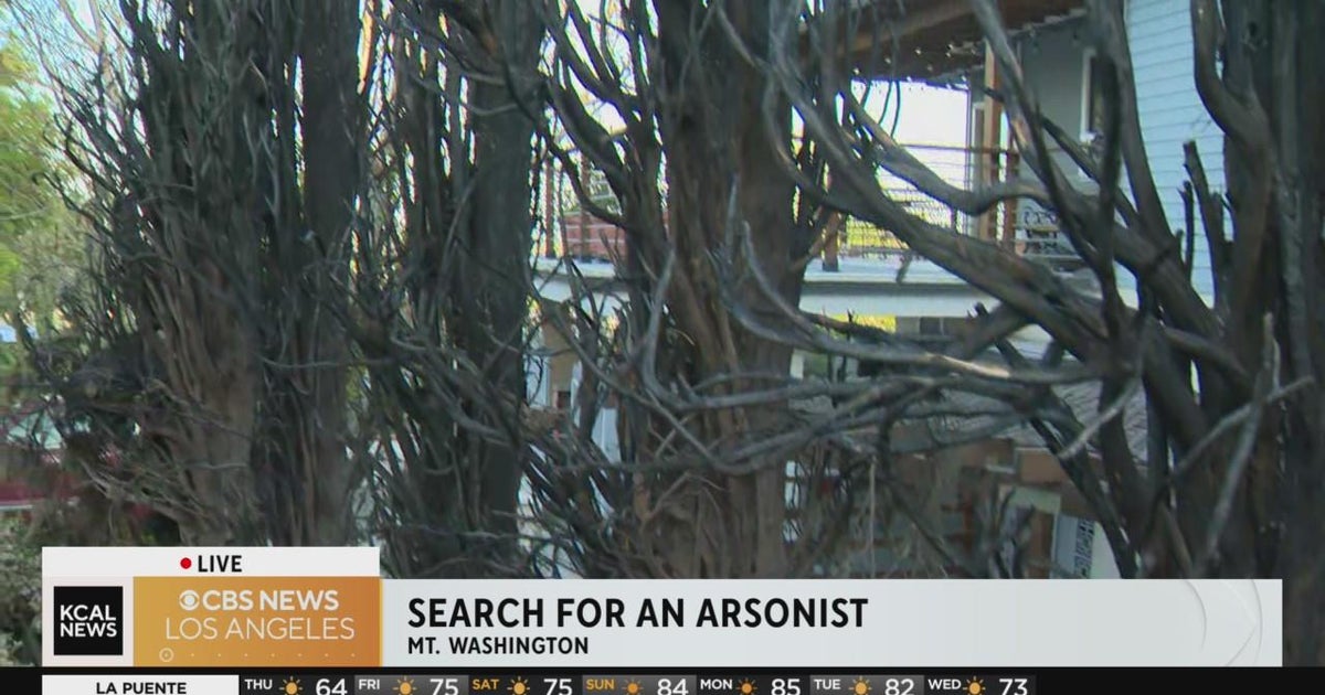 Authorities search for an arsonist in Mt. Washington area - CBS Los Angeles Authorities search for an arsonist in Mt. Washington area - CBS Los Angeles