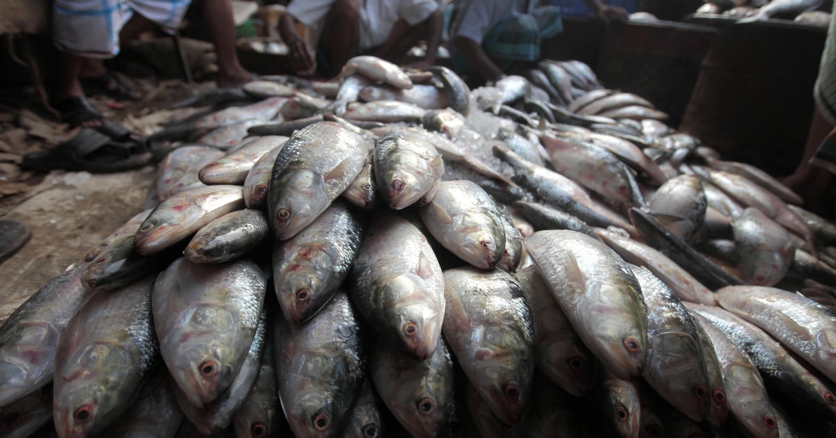 Angry customer hit worker over the head with a 4-pound frozen fish ...
