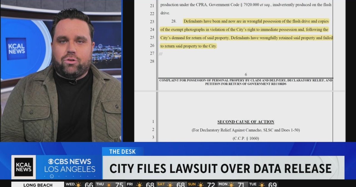 City of LA files lawsuit over mass release of LAPD officers' photos ...