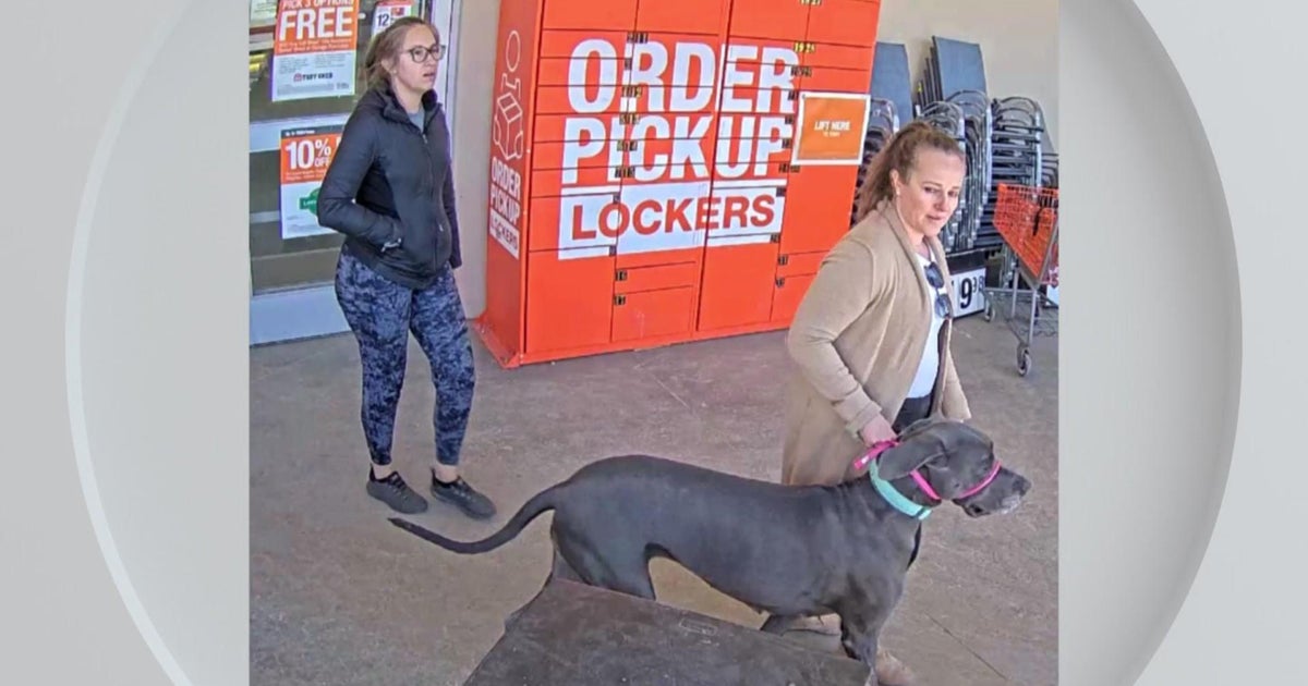 Jefferson County Home Depot Dog Bite