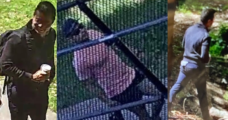 UC Berkeley police ask for public's help in recent sexual battery cases ...