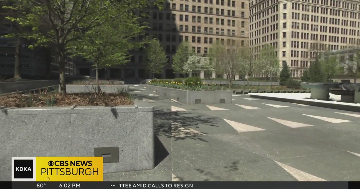 Pittsburgh Parks Conservancy asks city for help cleaning up Mellon ...