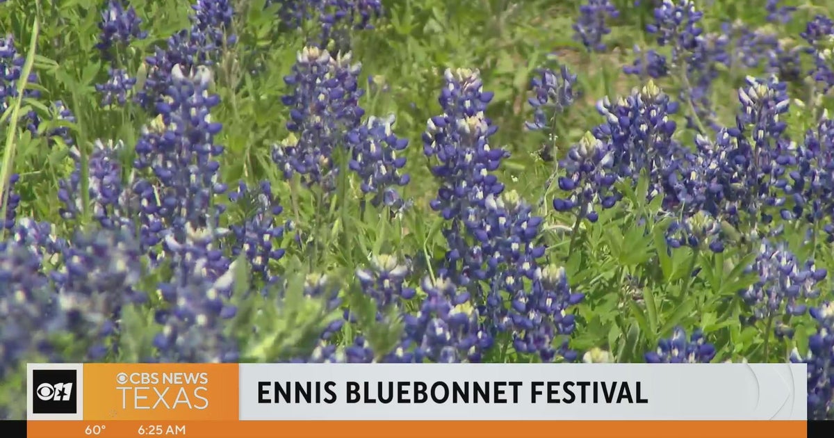 No plans this weekend? Here's what's happening in North Texas! - CBS Texas