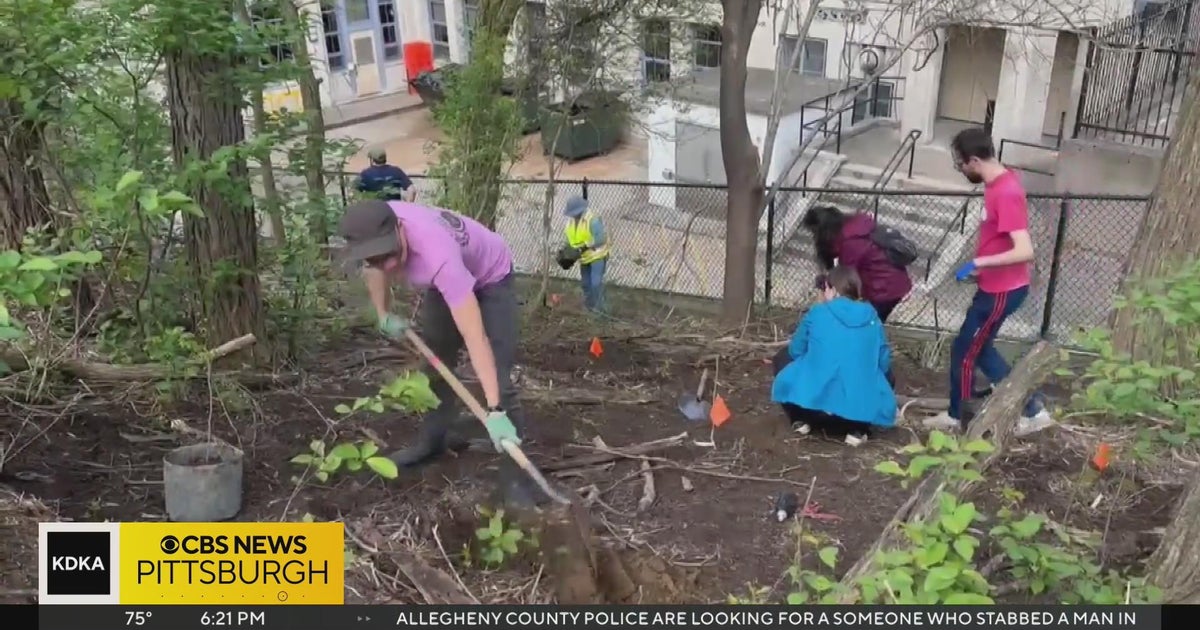 Over 100 trees planted in Lawrenceville's Arsenal Park - CBS Pittsburgh