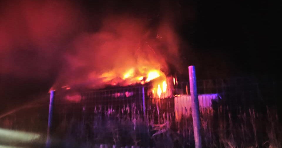 Colorado Gator Farm in Alamosa burns early Tuesday, killing several ...