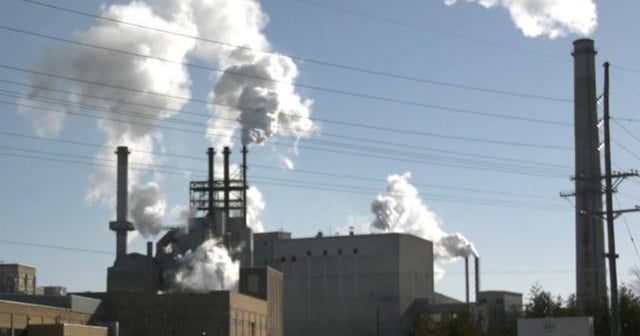 Union head speaks out on deadly fungal outbreak at Michigan paper mill ...