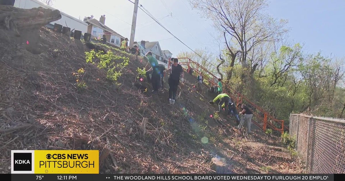 Pittsburgh students plant trees in Greenfield for Earth Day - CBS ...