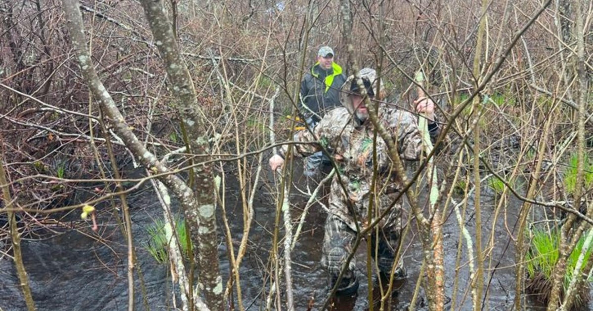 Skeletal remains found in New Hampshire swamp believed to be missing ...