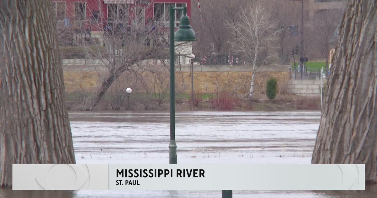 Flooding update: Where do six major Minnesota rivers stand? - CBS Minnesota
