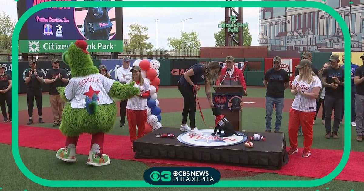 Phillies sign service dog - CBS Philadelphia