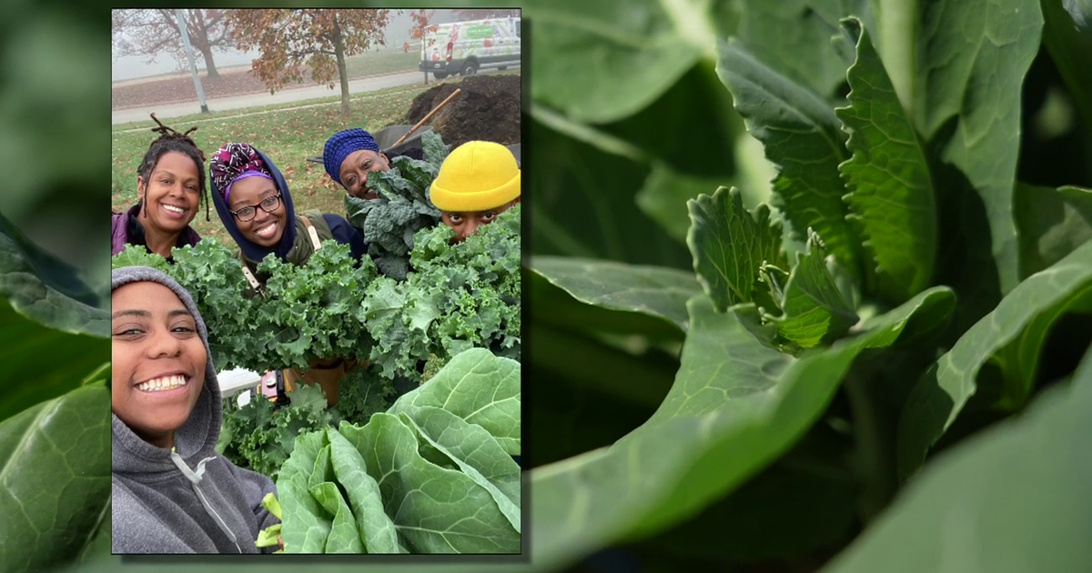 Farm Alliance of Baltimore empowers communities through sustainable ...