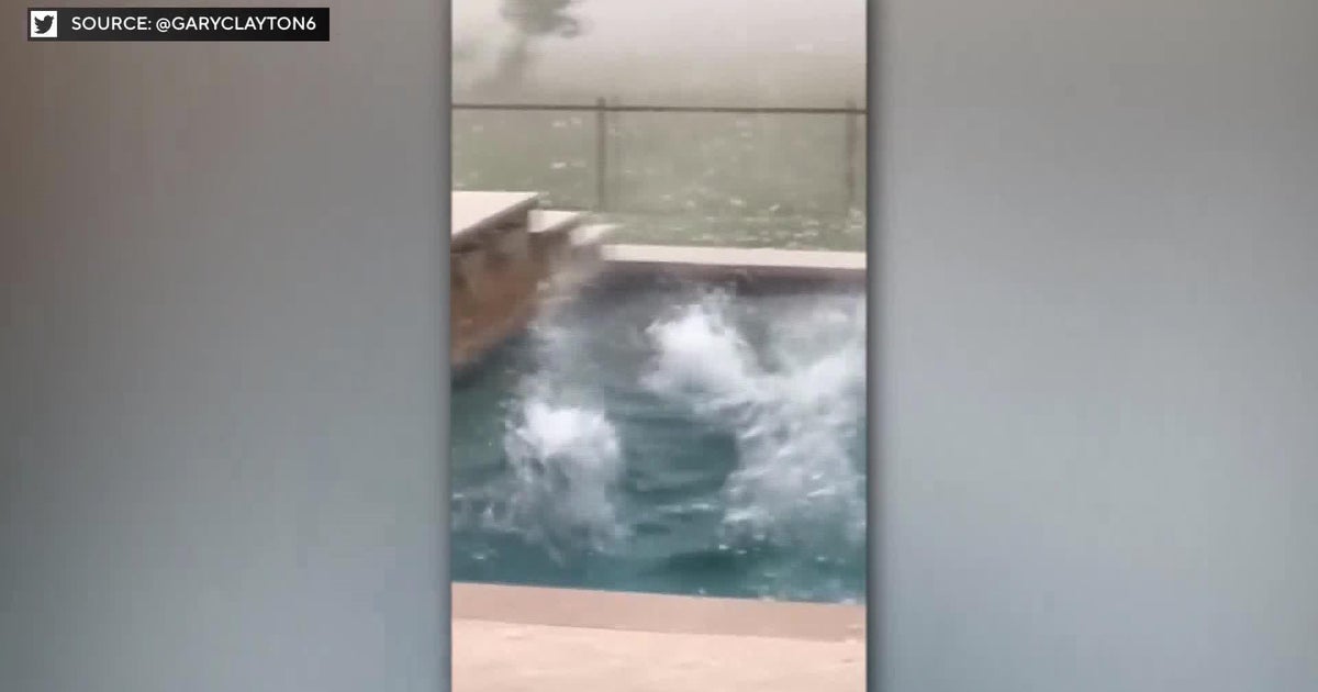 Bull goes viral after video shows it escaping from Texas hail - CBS Miami