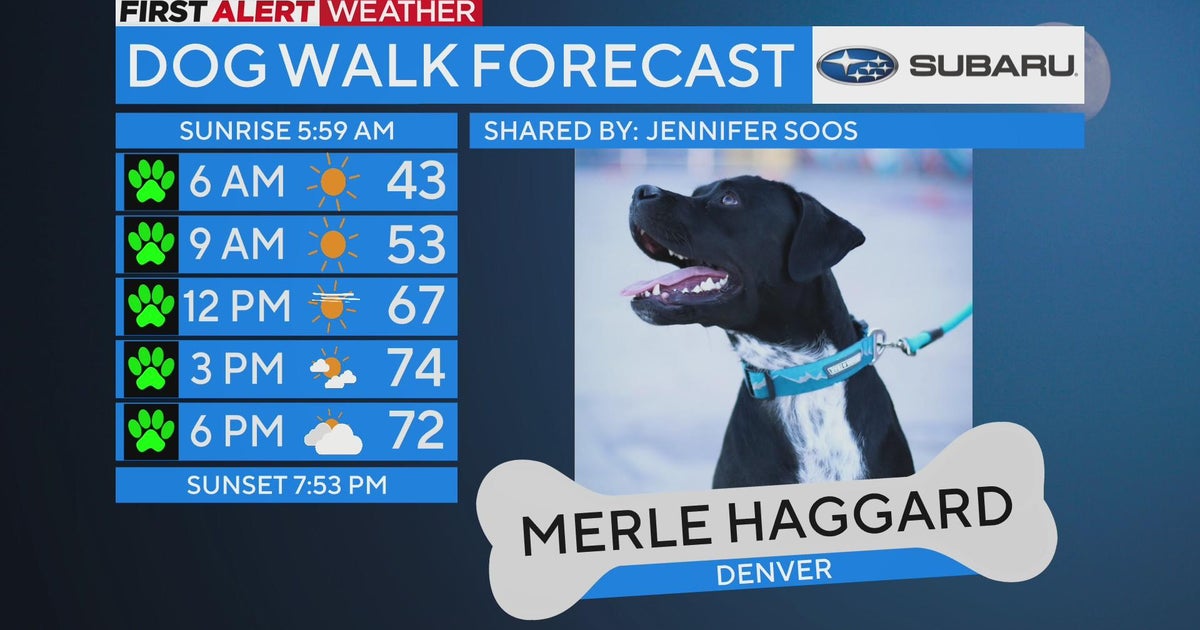 Merle Haggard joins Dog Walk Forecast 05/01/23 - CBS Colorado