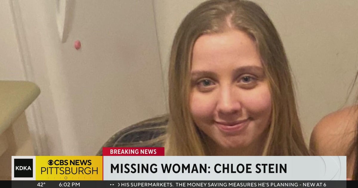 Police looking for 23-year-old Chloe Stein, whose car was found ...