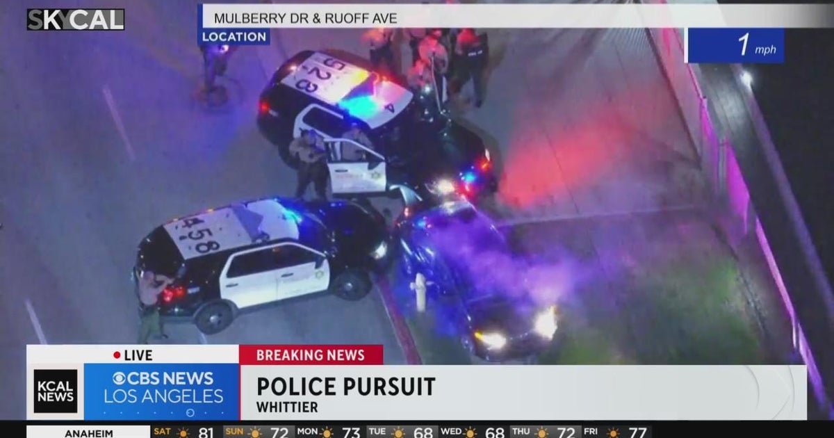 Hit-and-run suspect arrested following brief but wild pursuit in ...