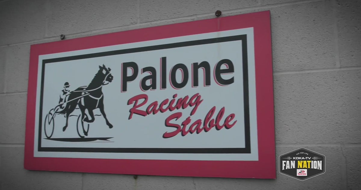 Dave Palone: The Sidney Crosby of harness racing - CBS Pittsburgh