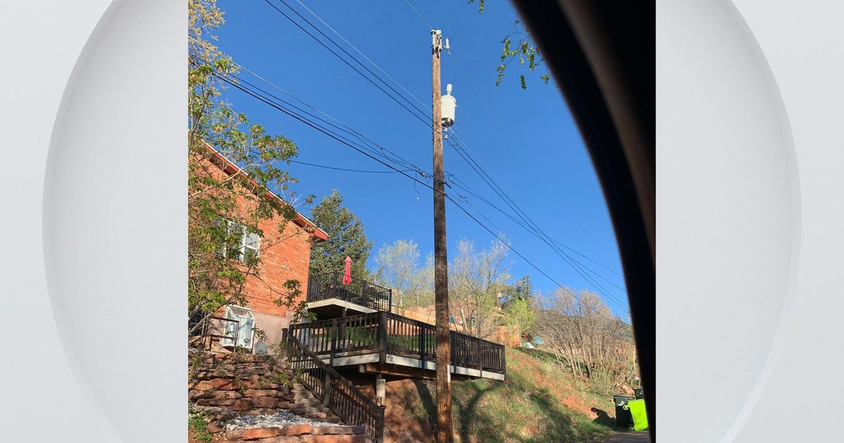 Bear cub killed in Colorado after getting into trash bin, getting ...