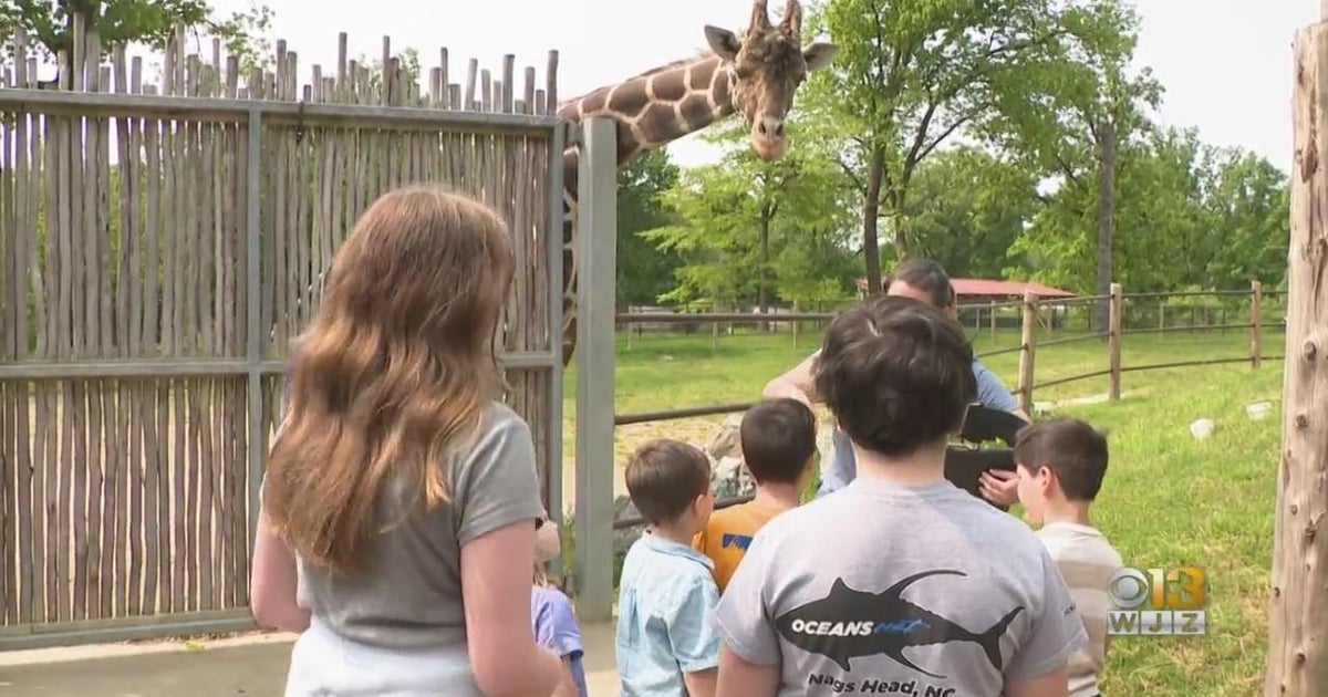 Students learn from WJZ personalities, zoo experts during 'School at ...