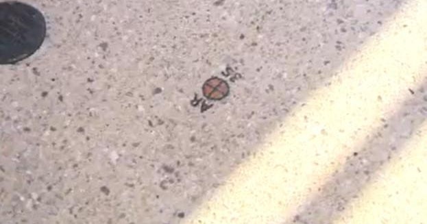 Leaving a mark: Adley Rutschman latest Oriole to blast home run to ...