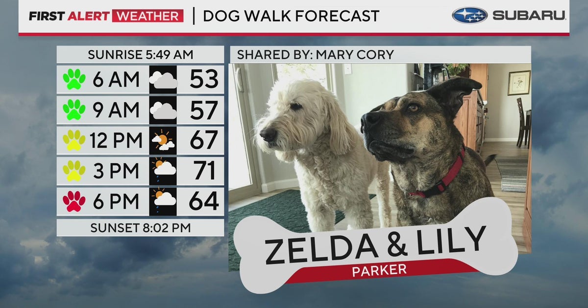 Zelda & Lily join Dog Walk Forecast - CBS Colorado