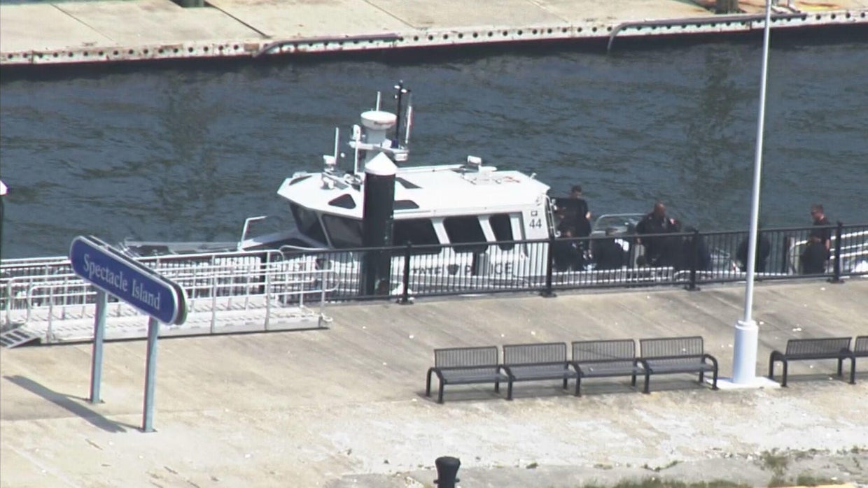 Missing 4-year-old Mohamed Fofana found dead on Spectacle Island shore ...