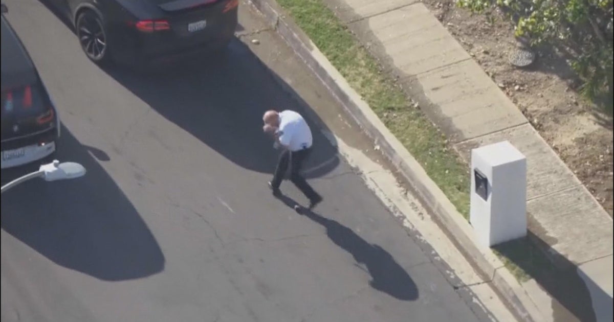 LAPD volunteer left with costly medical bills after getting swarmed by ...