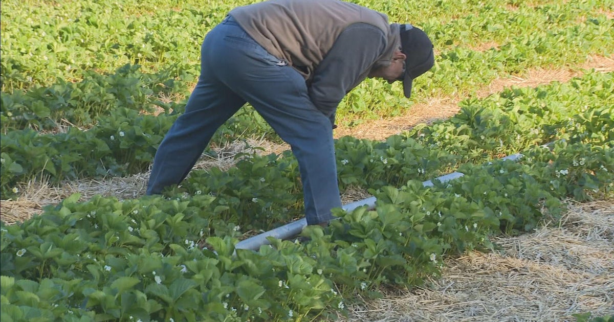 Farming program aims to help farmers produce more affordable crops ...